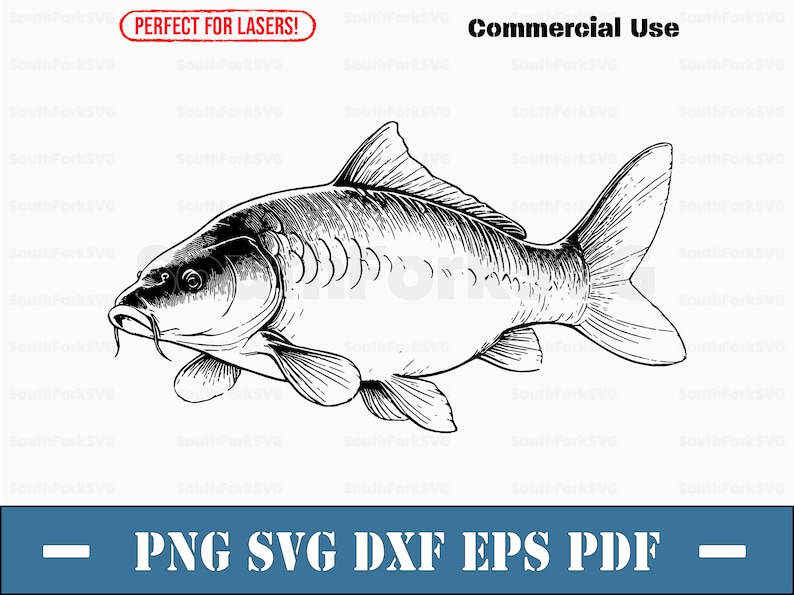 Carp Fish Svg Png Dxf Eps Pdf | Transparent Vector Graphic Design Cut ...