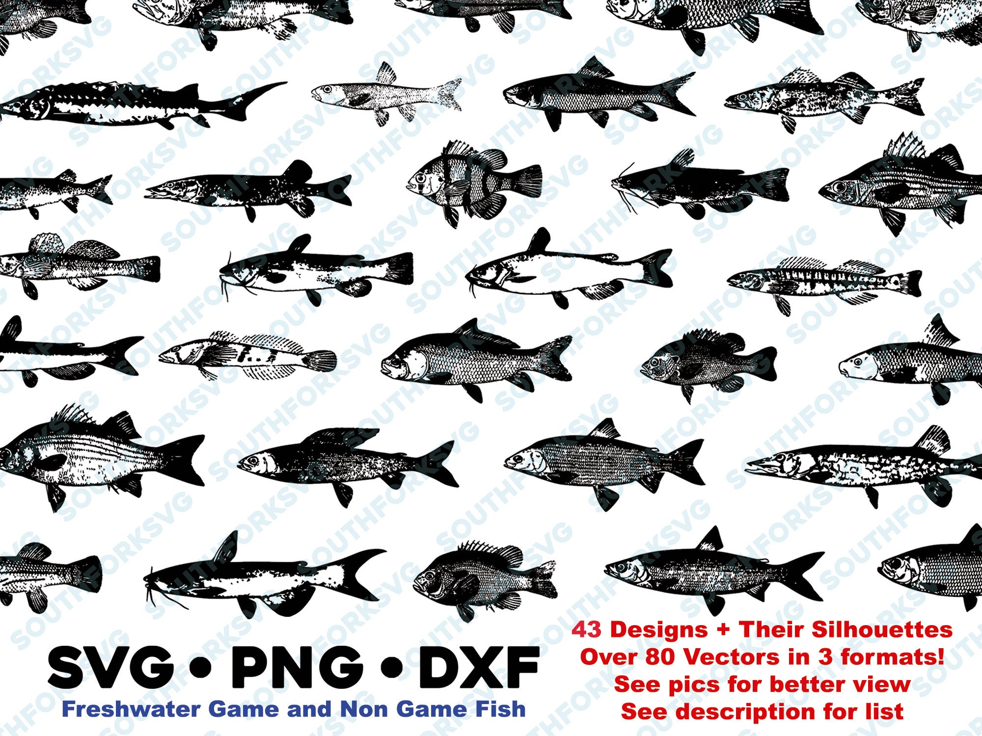 Freshwater Game & Non Game Fish + Silhouettes Mega Bundle SVG PNG DXF ...