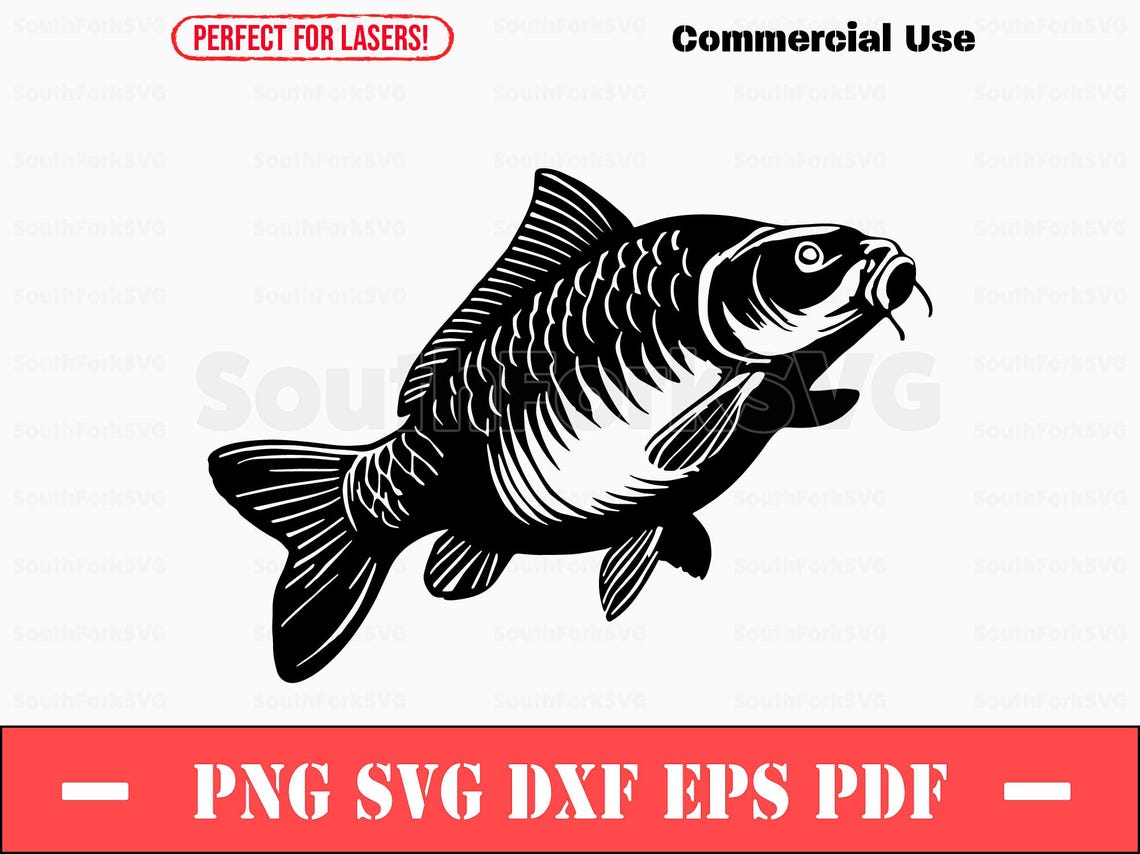 Carp Fishing Svg Png Dxf Eps Pdf | Transparent Vector Graphic Design ...