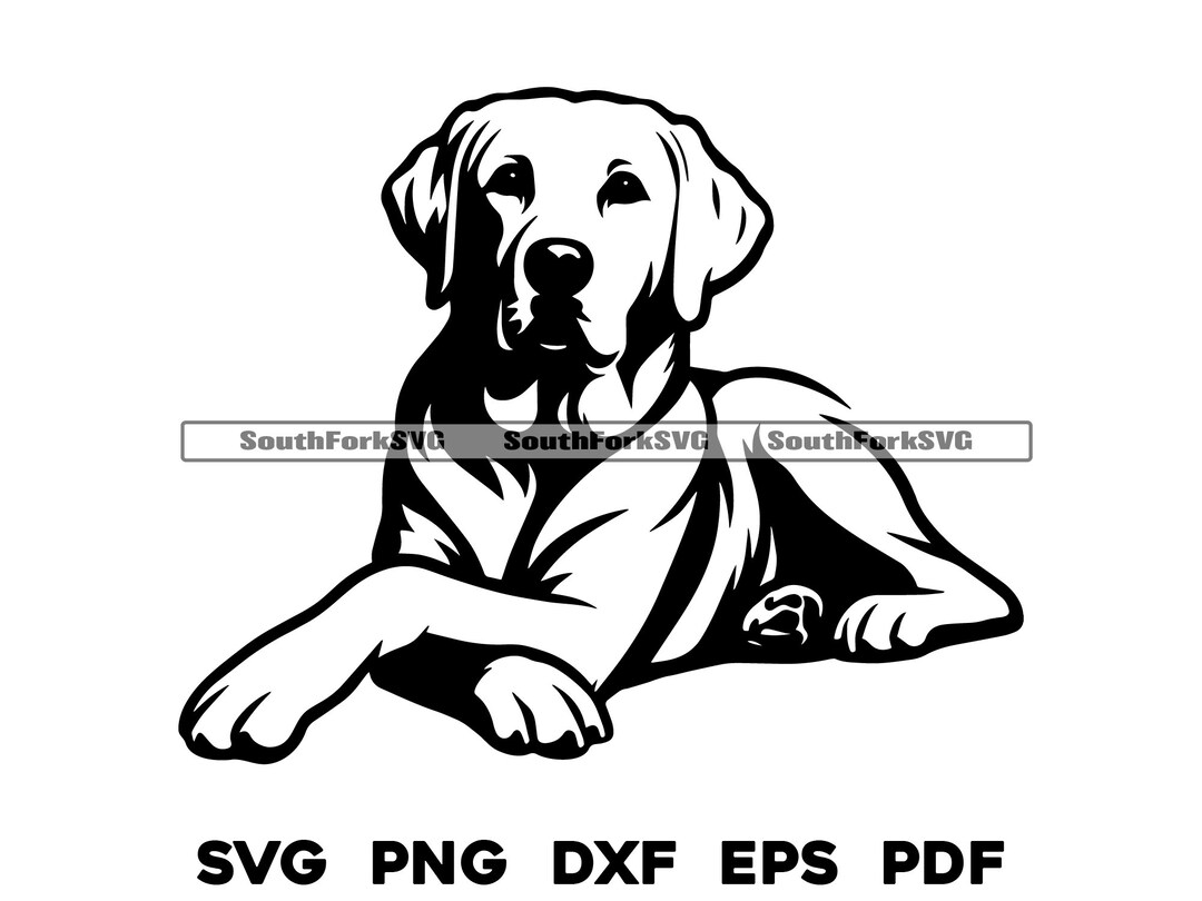 Labrador Retriever Dog Laying Crossed Paws 2 Svg Png Dxf Eps Pdf ...