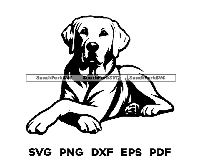 Black Lab Wood Door Sign, Chocolate Lab Dog Lover Door Hanger, Home Dog ...