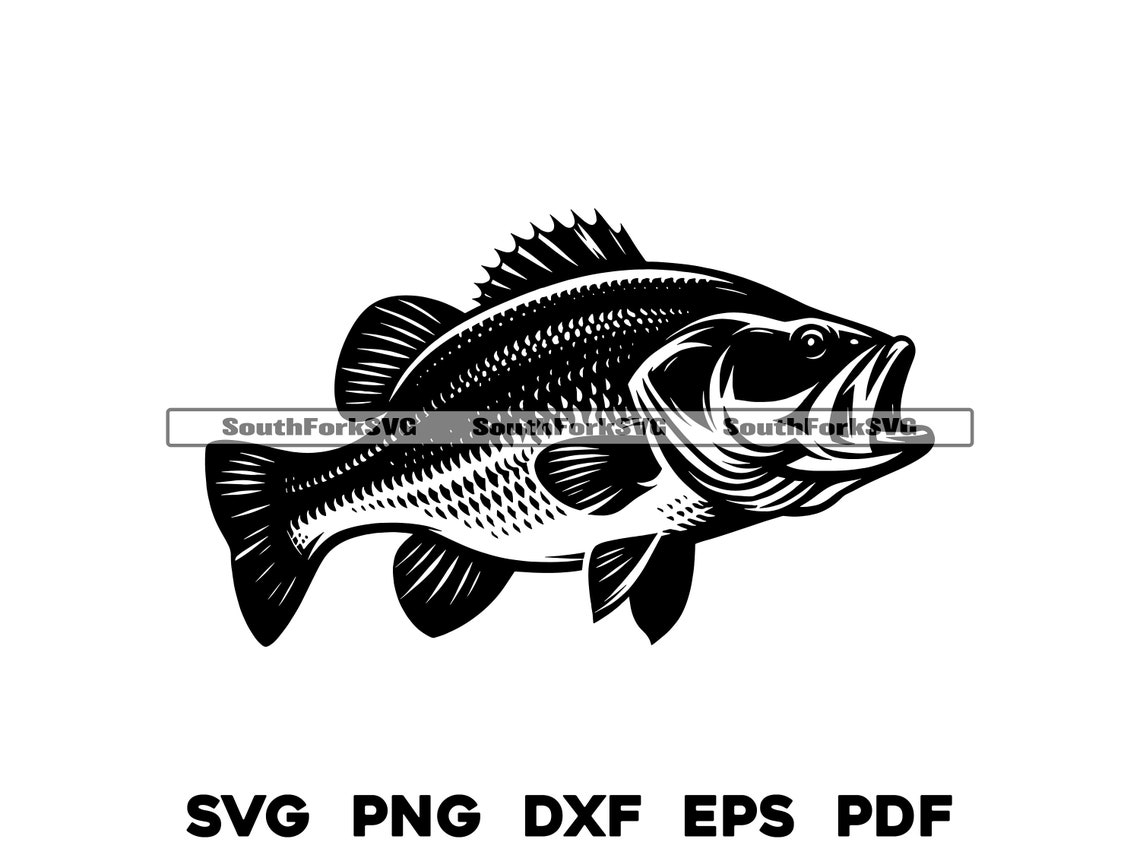 Largemouth Bass | Svg Png Dxf Eps Pdf | Transparent Vector Graphic ...