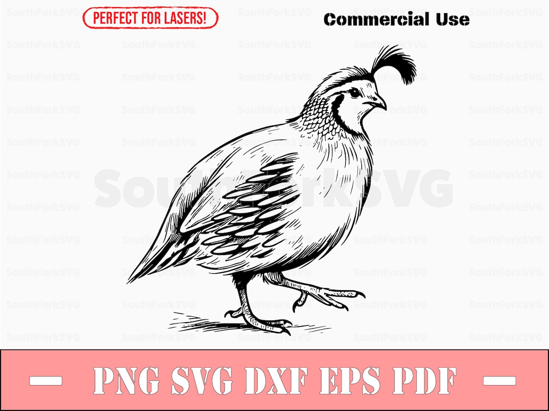 Quail Svg Png Dxf Eps Pdf | Vector Graphic Design Cut Print Dye Sub ...