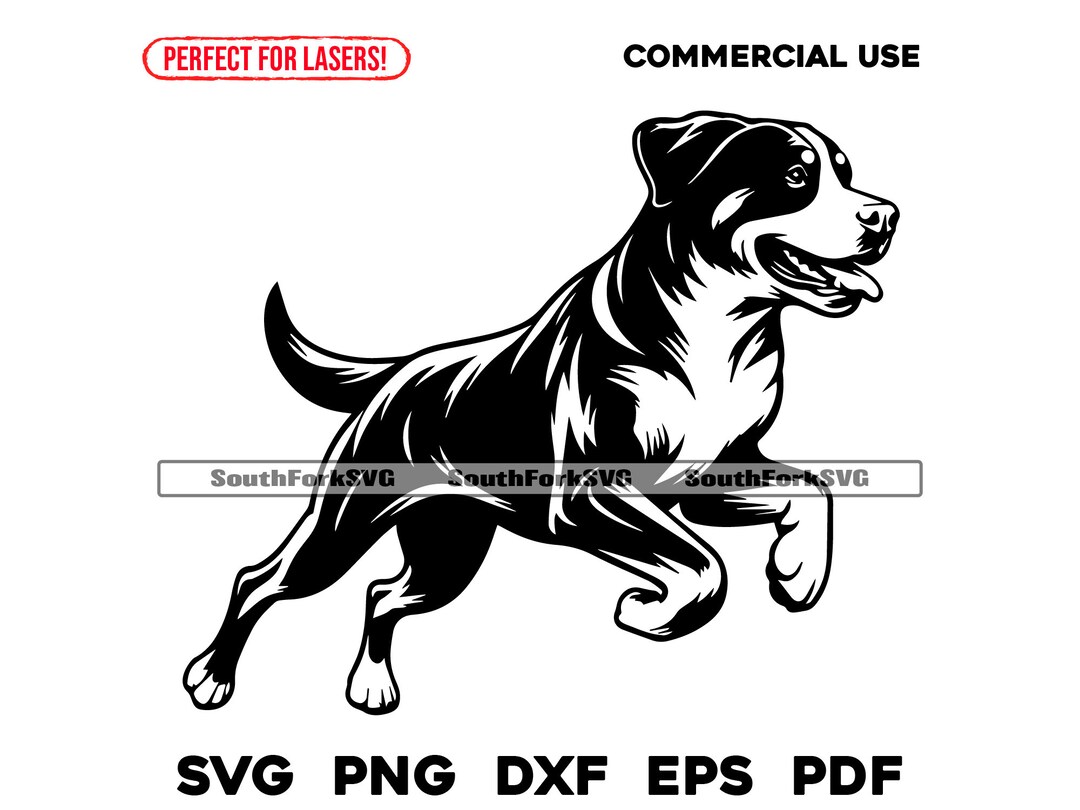 Greater Swiss Mountain Dog Running Svg Png Dxf Eps Pdf Vector Graphic ...