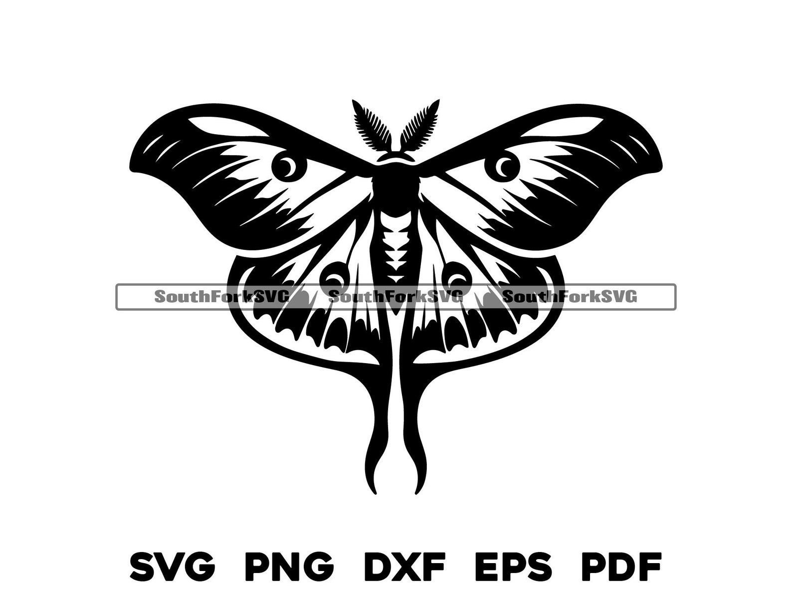 Luna Moth 1 Svg Png Dxf Eps Pdf Transparent Vector Graphic - Etsy