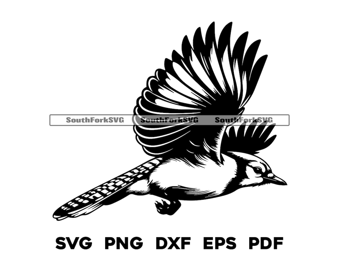 Blue Jay Flying Design | Svg Png Dxf Eps Pdf | Vector Graphic Cut File ...