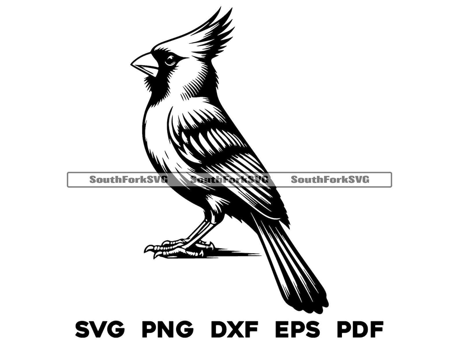 Standing Cardinal Bird Design | Svg Png Dxf Eps Pdf | Vector Graphic ...