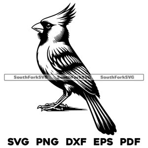 Standing Cardinal Bird Design | Svg Png Dxf Eps Pdf | Vector Graphic ...
