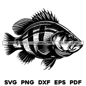 Bluegill Panfish Sunfish | Svg Png Dxf Eps Pdf | Transparent Vector ...