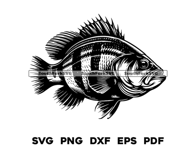 Bluegill Panfish Sunfish | Svg Png Dxf Eps Pdf | Transparent Vector ...