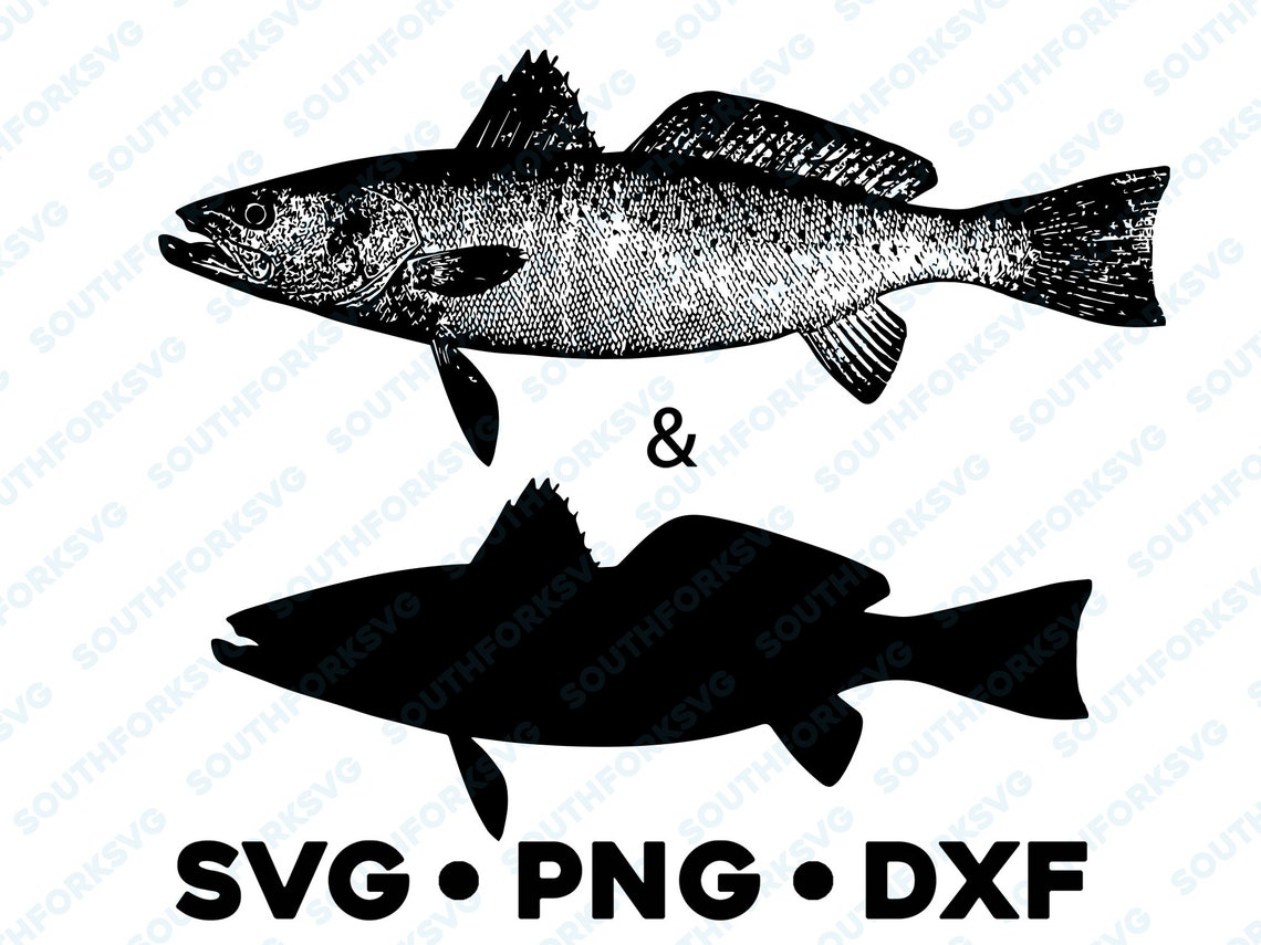 Spotted Sea Trout Speckled Weakfish SVG PNG DXF Vector | Etsy