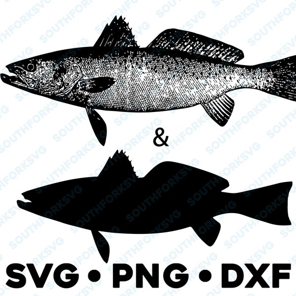 Spotted Sea Trout Vector File - Etsy