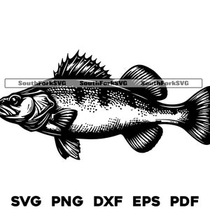 Walleye Graphic Svg Png Dxf Eps Pdf Laser Cnc Vinyl Cut Print Dye Sub ...