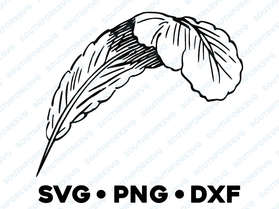 Quill Feather SVG PNG DXF Cut File for Cricut Silhouette Cameo - Etsy