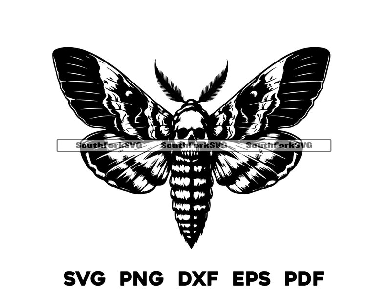Death's Head Skull Hawk Moth Svg Png Dxf Eps Pdf | Vector Graphics ...