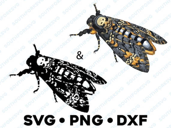 Death's Head Skull Hawk Moth SVG PNG DXF Layered by Color | Etsy Australia