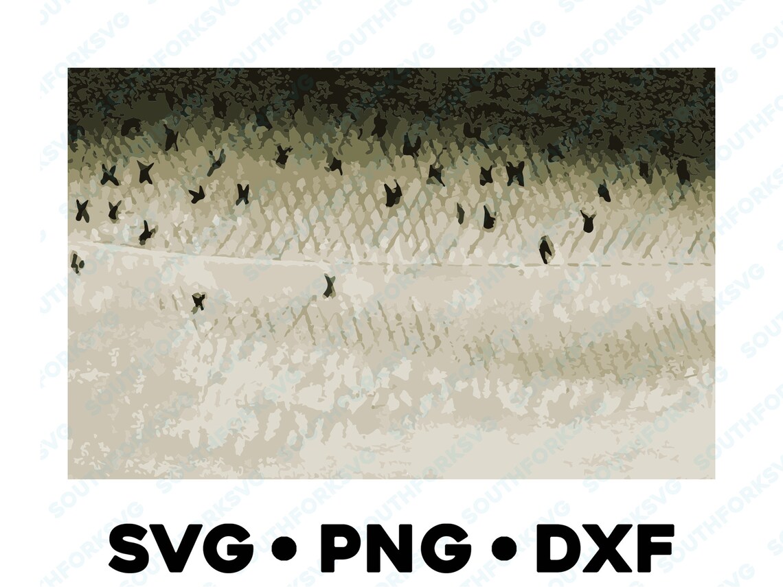 Salmon Skin Pattern SVG PNG DXF Salmon Fishing Atlantic King Chinook ...
