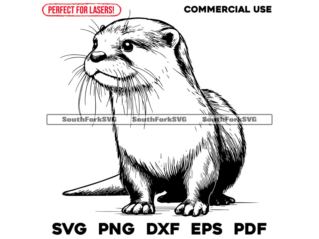 Cute Otter Svg Png Dxf Eps Pdf | Vector Graphic Cut File Laser Clip Art ...