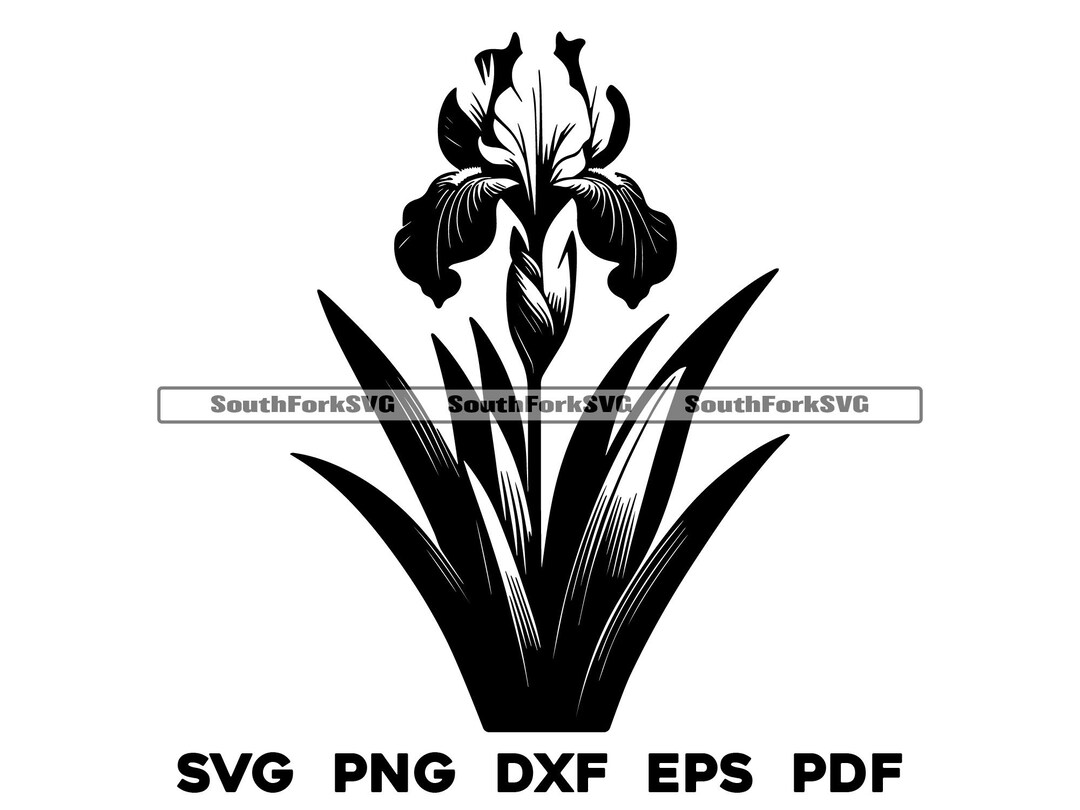 Iris Flower Floral Design Svg Png Dxf Eps Pdf | Vector Graphic Cut File ...