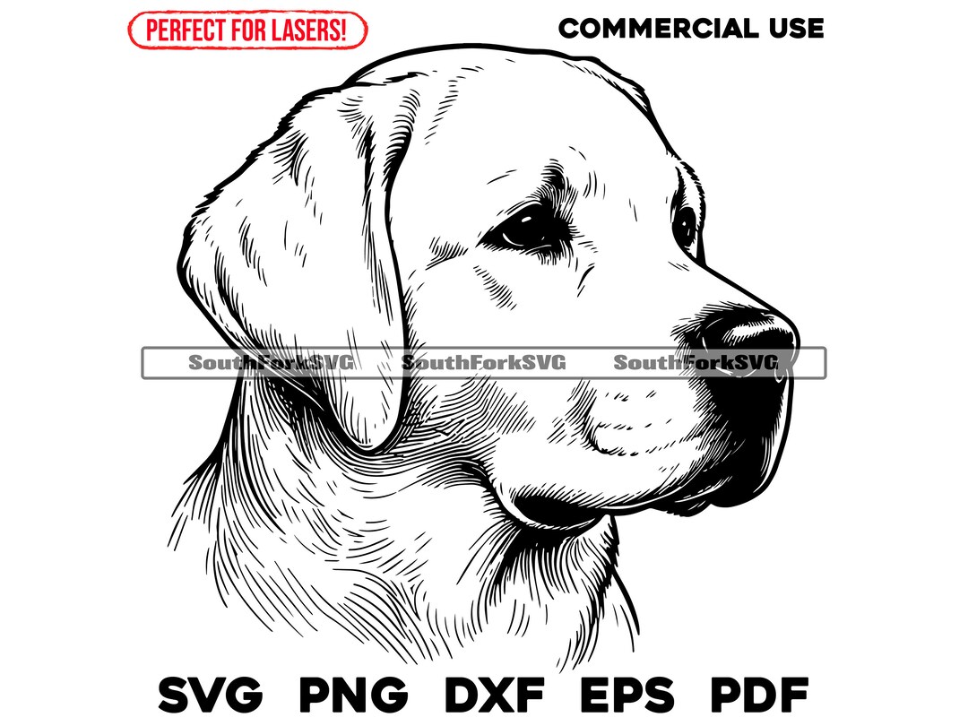 Labrador Retriever Portrait Svg Png Dxf Eps Pdf | Vector Graphic Cut ...