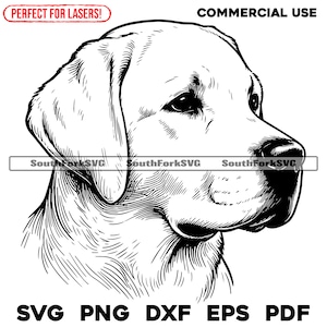 Labrador Retriever Portrait Svg Png Dxf Eps Pdf | Vector Graphic Cut ...