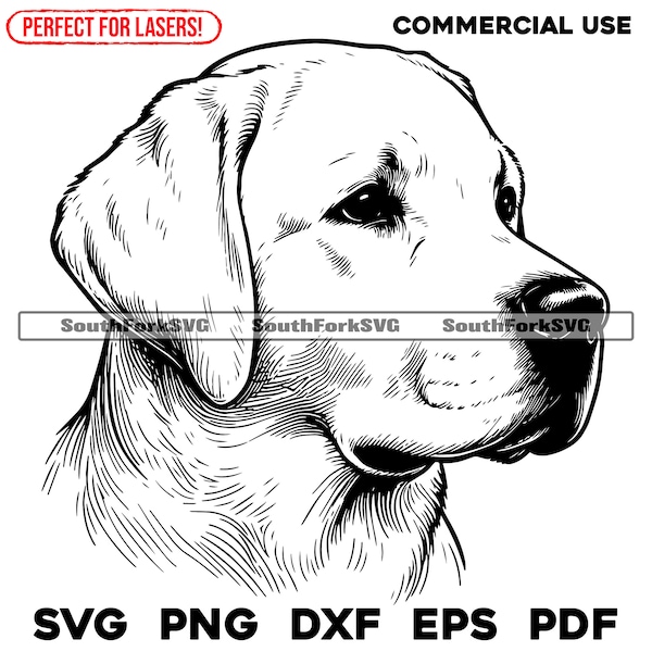 Laser Engrave Files Kingfisher Svg Png Dxf Eps Pdf Vector Graphic ...
