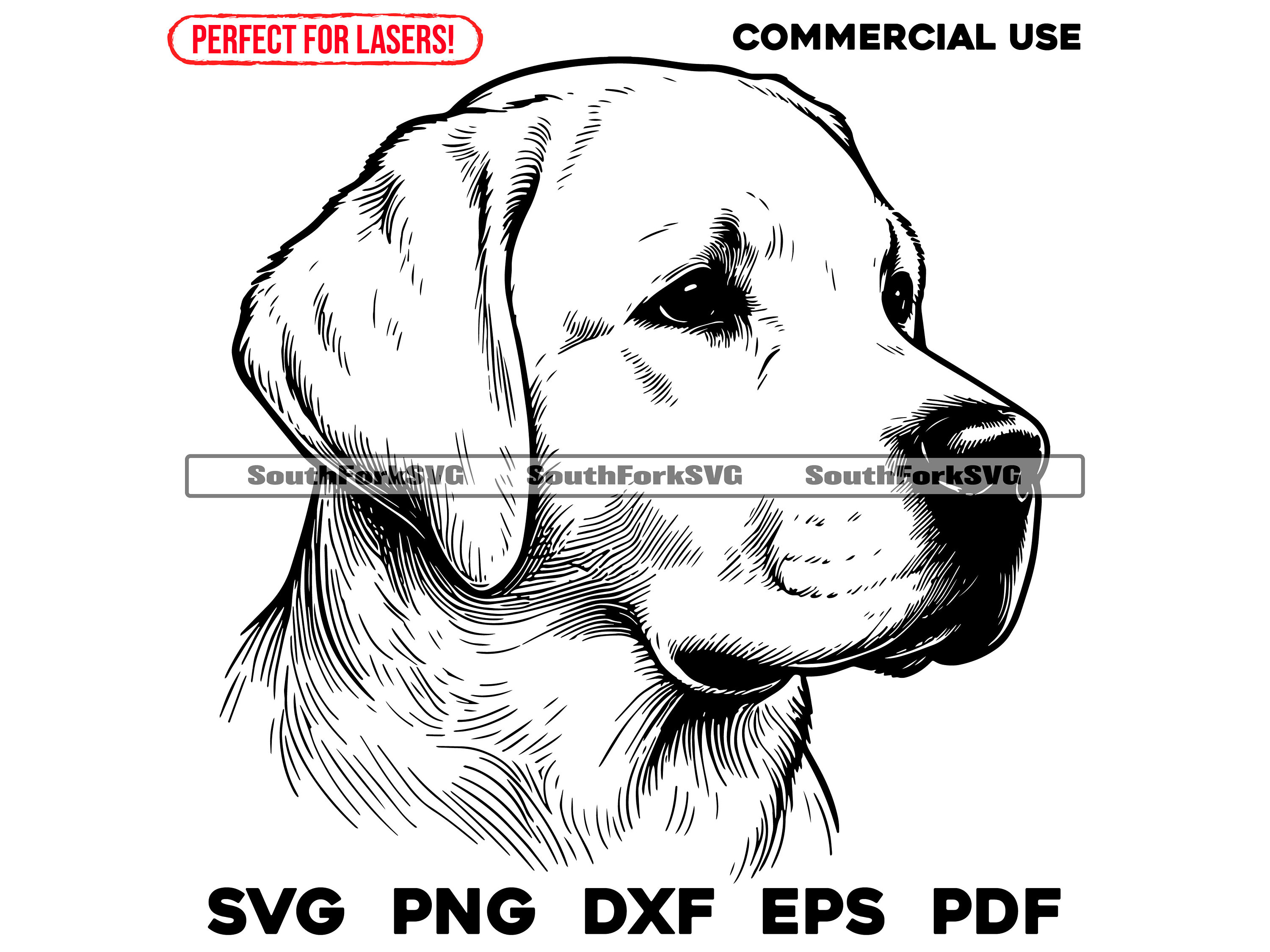 Labrador Retriever Portrait Svg Png Dxf Eps Pdf Vector Graphic Cut File ...