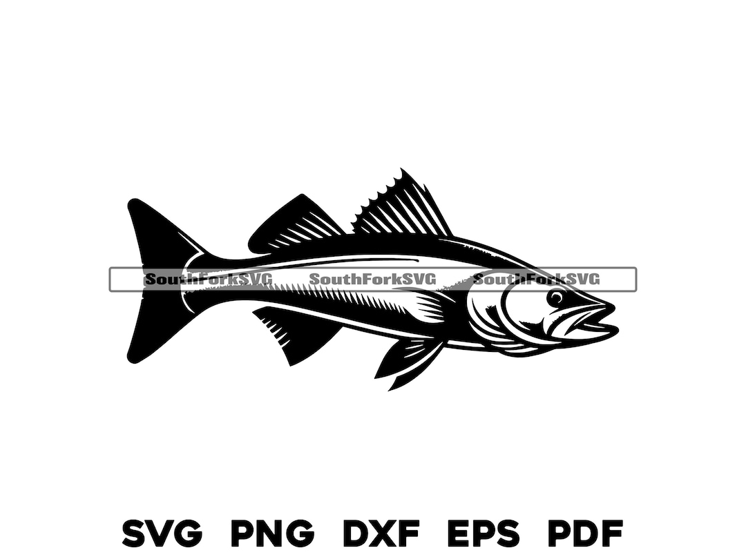Snook Fish | Svg Png Dxf Eps Pdf | Transparent Vector Graphic Design ...