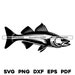 Snook Fish Svg Png Dxf Eps Pdf Transparent Vector Graphic Design Cut ...