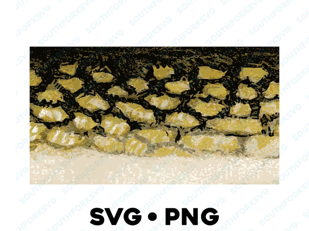 Northern Pike Pickerel Skin Pattern SVG PNG DXF Trout Bass Pike Muskie ...