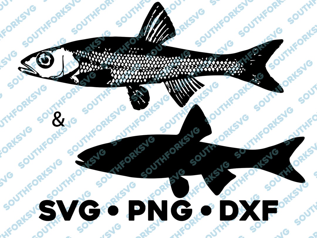 Redfin Minnow Fish SVG PNG DXF Chub Sucker Sardine Dace Vector ...