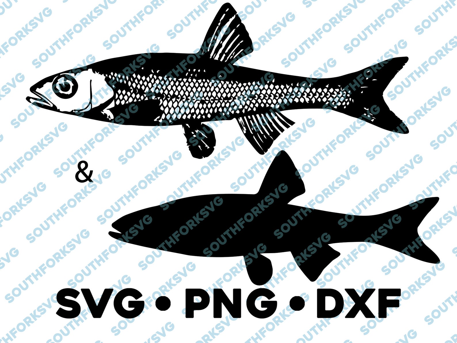 Redfin Minnow Fish SVG PNG DXF Chub Sucker Sardine Dace Vector ...