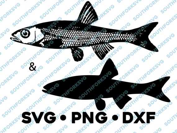 Redfin Minnow Fish SVG PNG DXF Chub Sucker Sardine Dace vector | Etsy