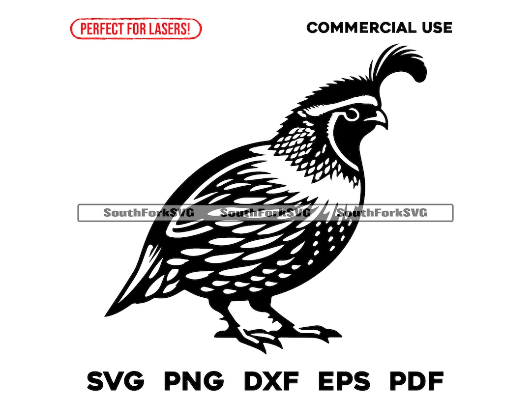 Quail Design Svg Png Dxf Eps Pdf | Vector Graphic Design Cut Print Dye ...