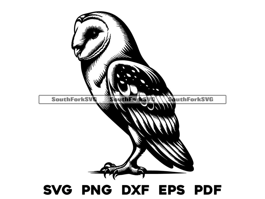Barn Owl Bird Design | Svg Png Dxf Eps Pdf | Vector Graphic Cut File ...