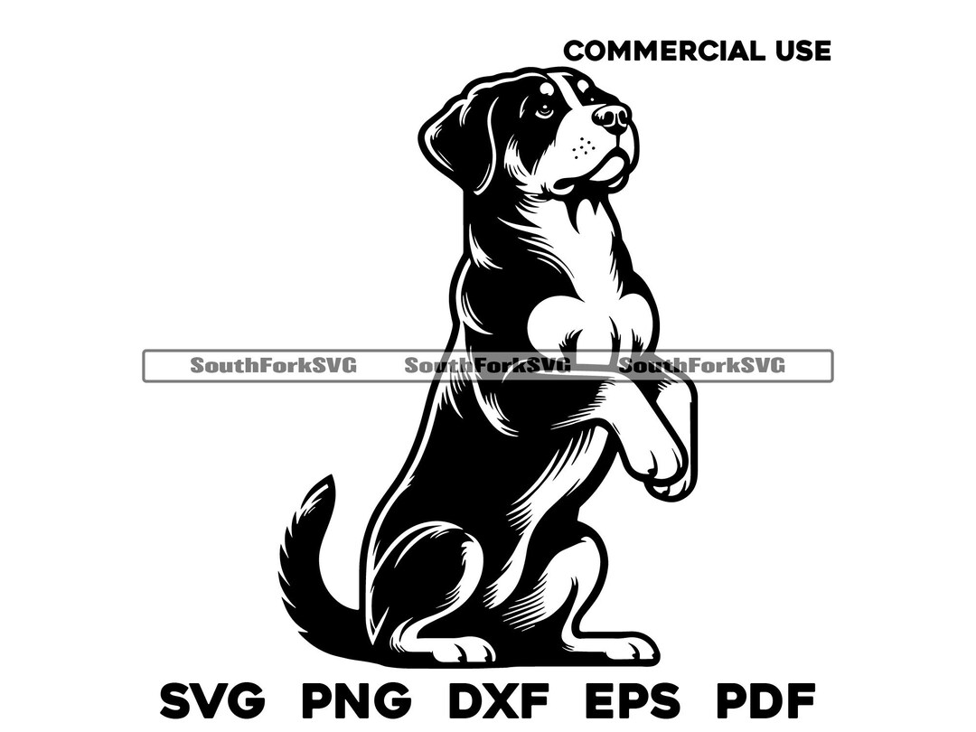 Begging Greater Swiss Mountain Dog Svg Png Dxf Eps Pdf Vector Graphic ...
