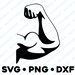 Bicep SVG PNG DXF Bodybuilder Bodybuilding Weightlifting Bundle ...