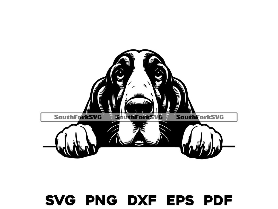 Peeking Basset Hound Svg Png Dxf Eps Pdf | Vector Graphic Cut File ...