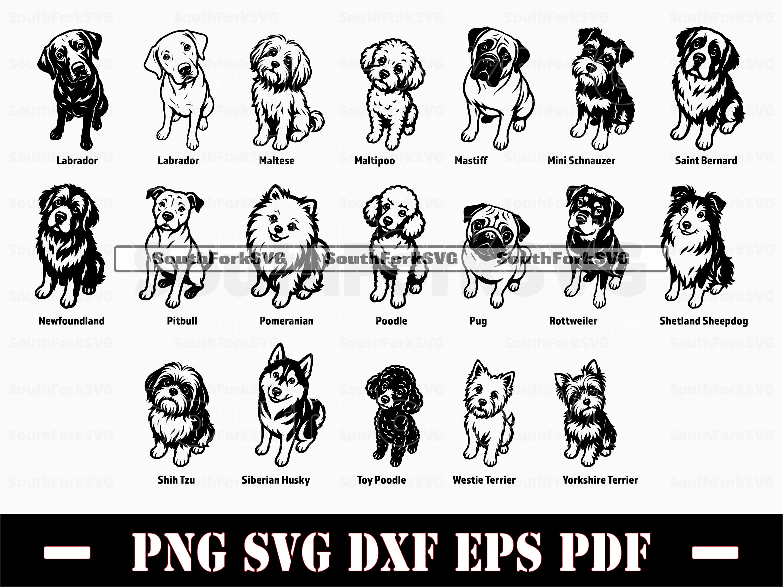 51 Begging Dogs Mega Bundle Svg Png Dxf Eps Pdf Vector Graphic Cut File ...