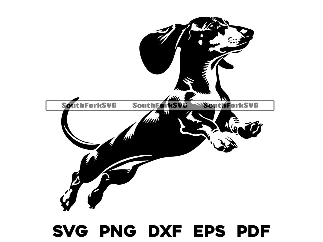 Dachshund Weiner Dog Jumping | Svg Png Dxf Eps Pdf Vector Graphic Cut ...