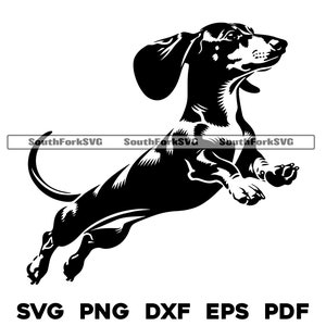 Dachshund Weiner Dog Jumping | Svg Png Dxf Eps Pdf Vector Graphic Cut ...
