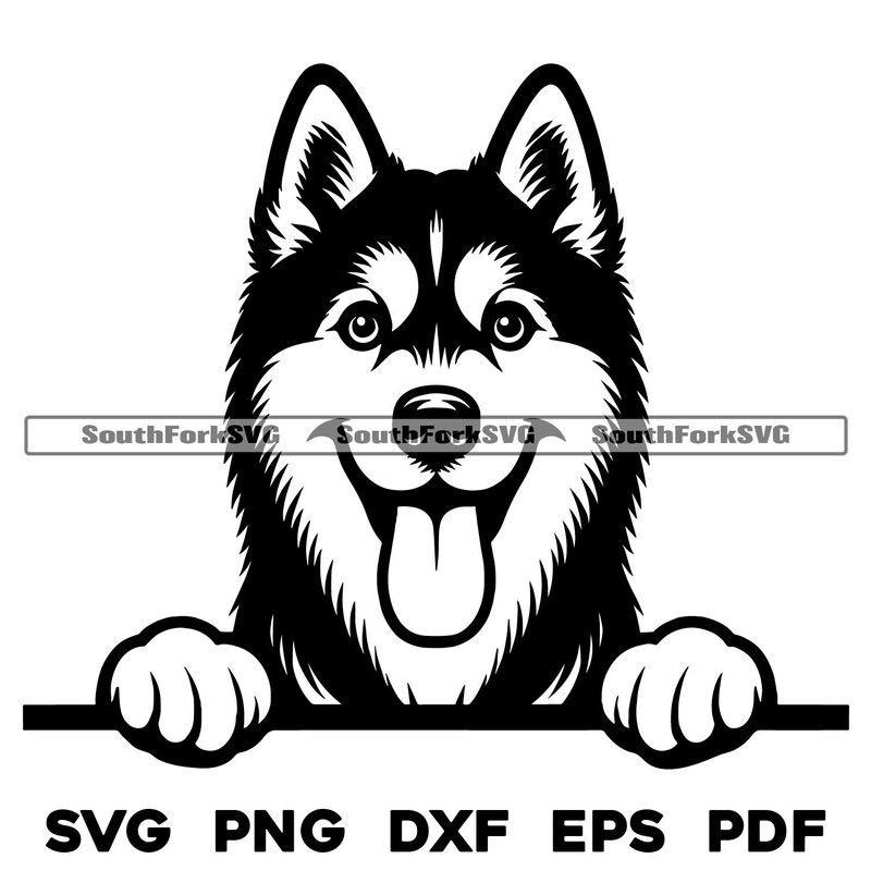 Husky Pet Shop - Etsy