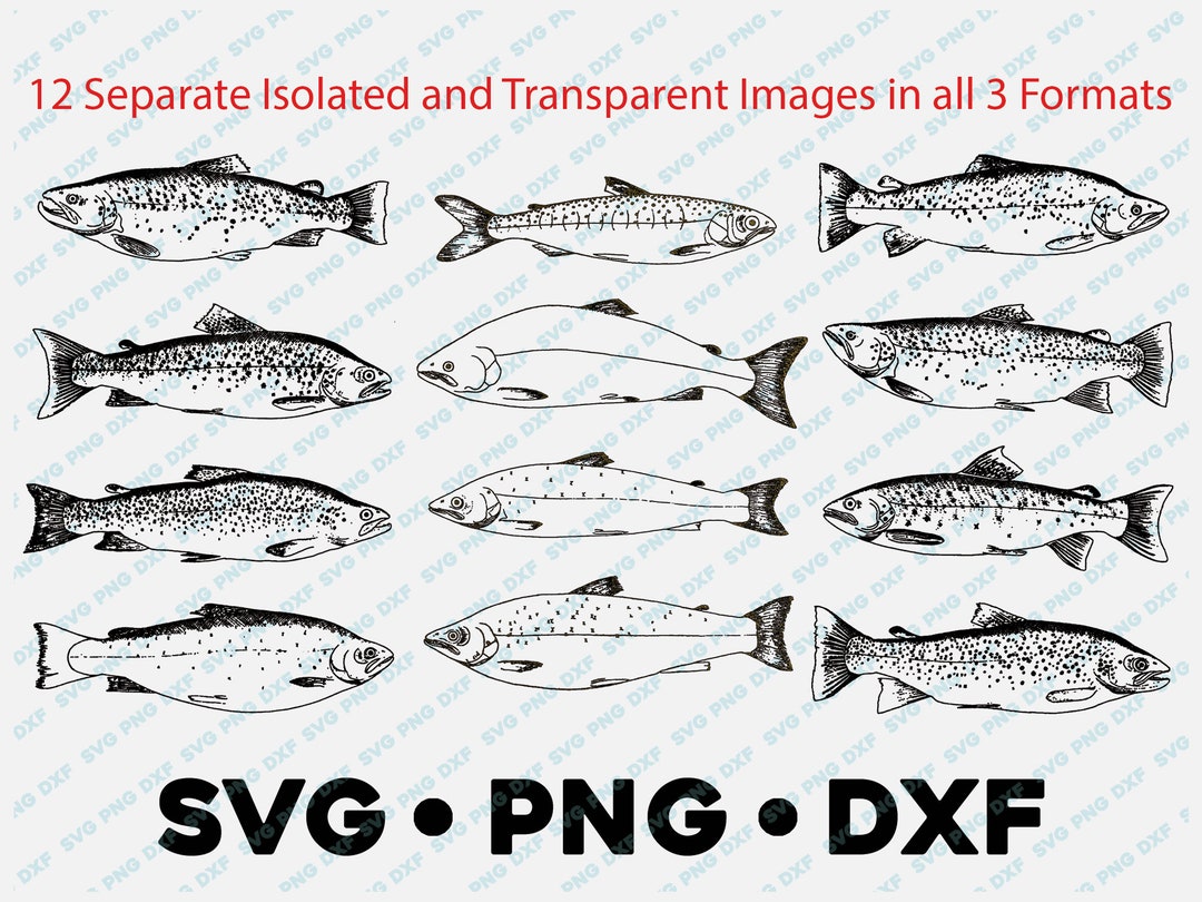Trout/salmon SVG PNG DXF Bundle Vector Transparent Cameo Silhouette ...