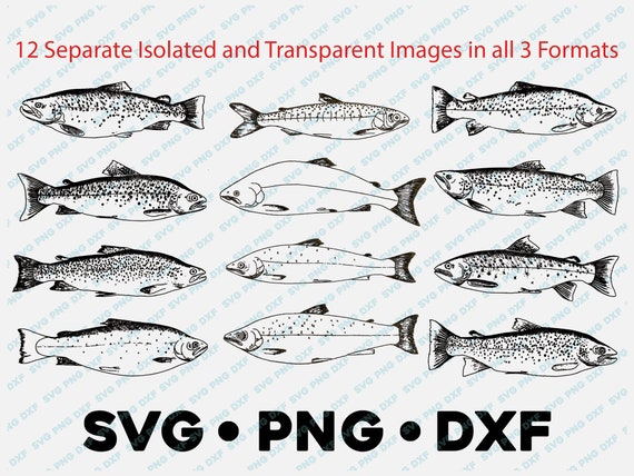 Trout/salmon SVG PNG DXF Bundle Vector Transparent Cricut - Etsy
