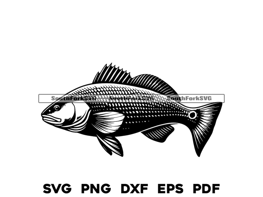 Redfish Red Drum Design | Svg Png Dxf Eps Pdf | Transparent Vector ...