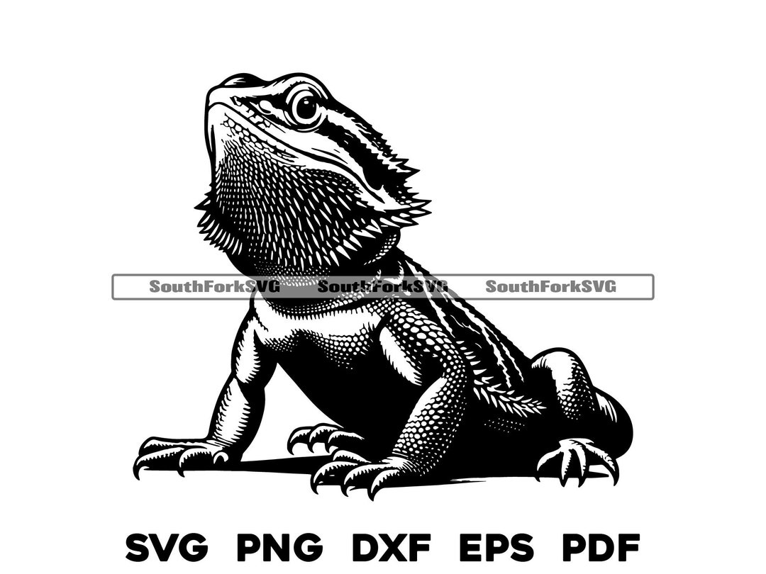 Bearded Dragon Design | Svg Png Dxf Eps Pdf | Vector Graphic Cut File ...