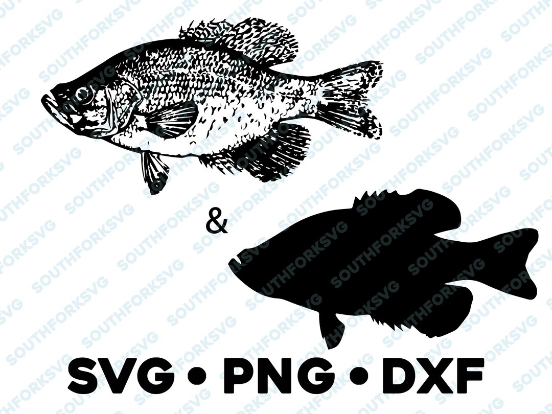 Crappie Bluegill Panfish Sunfish Bass SVG PNG DXF Vector Transparent ...
