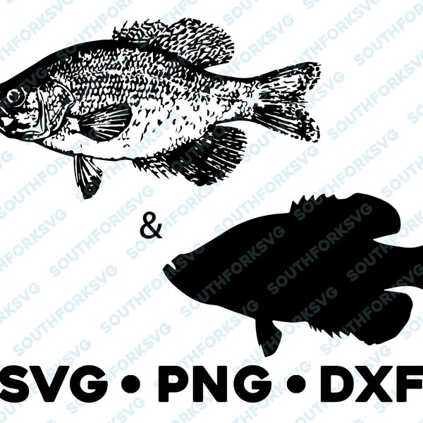 Bluegill Sunfish - Etsy