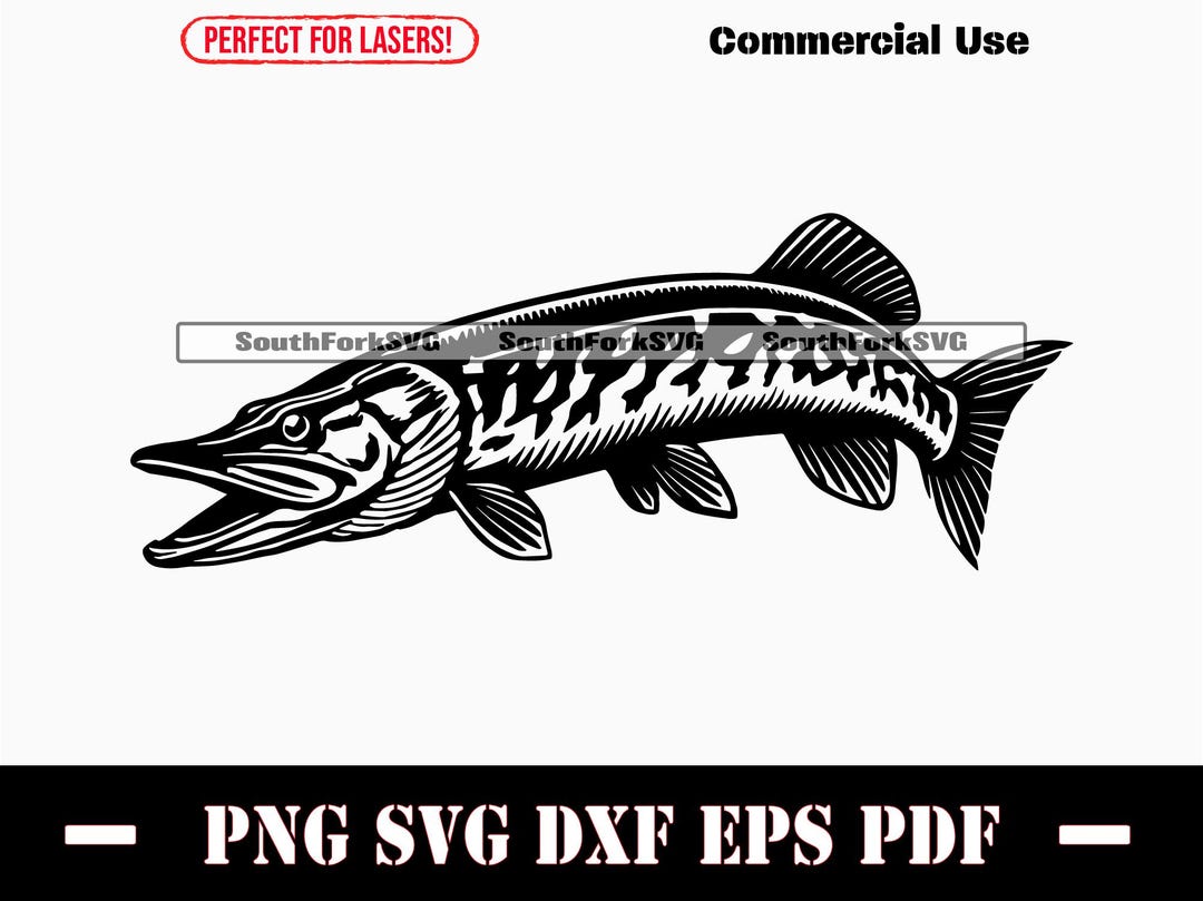 Northern Pike Svg Png Dxf Eps Pdf | Transparent Vector Graphic Design ...