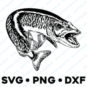 Muskie Musky Muskellunge Northern Pike SVG PNG DXF Vector Transparent ...